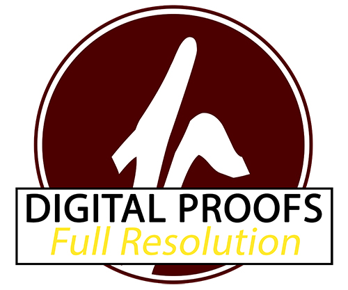 Portrait Session Digital Proof Download (Full Resolution) - Paul ...